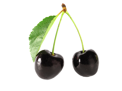 Hydraliquid - Cerise noire